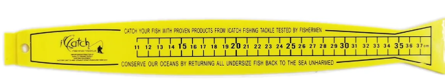 iCatch Ruler | Tackle World Kawana