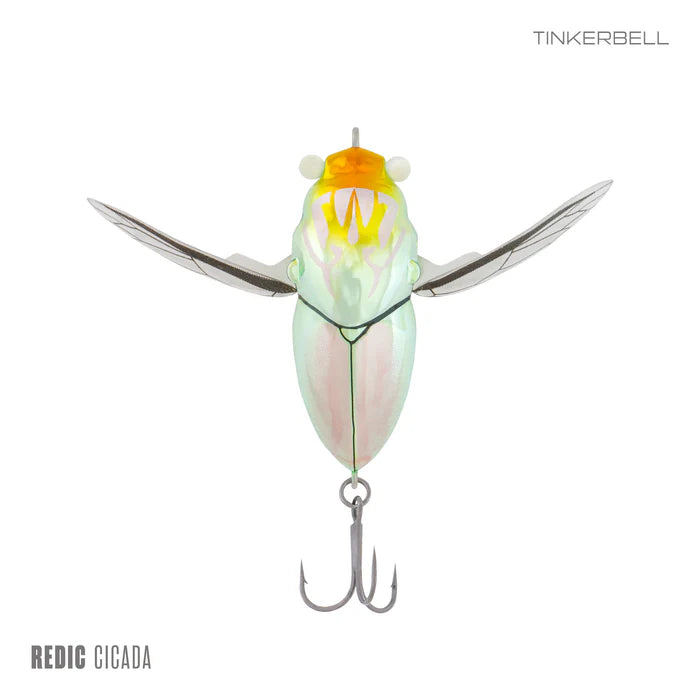 Samaki Redic Cicada 50 | Tackle World Kawana