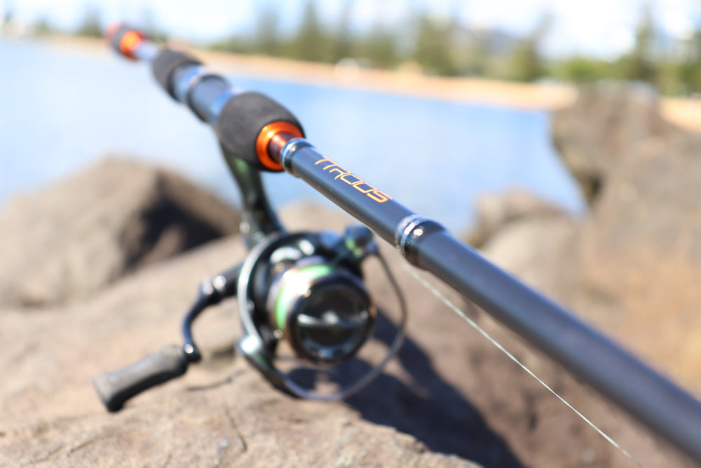 Buy Spin Fishing Rods Online | Australia-wide Delivery | Tackle World ...